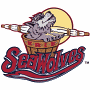 Erie SeaWolves minor league baseball Statistics and Roster on StatsCrew.com