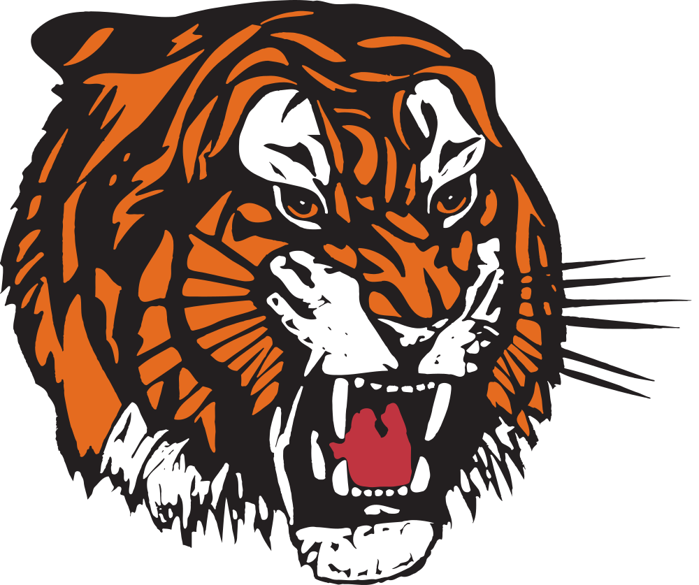 1980-81 Medicine Hat Tigers minor league hockey Statistics on StatsCrew.com